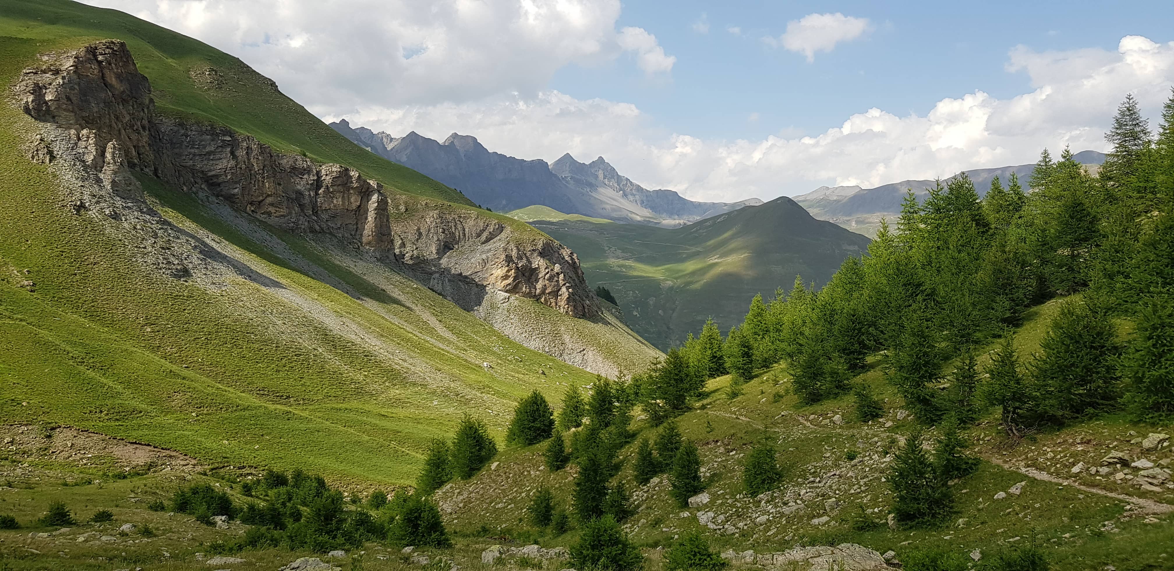 Biocompatible, solutions contre le rayonnement électromagnétique ...