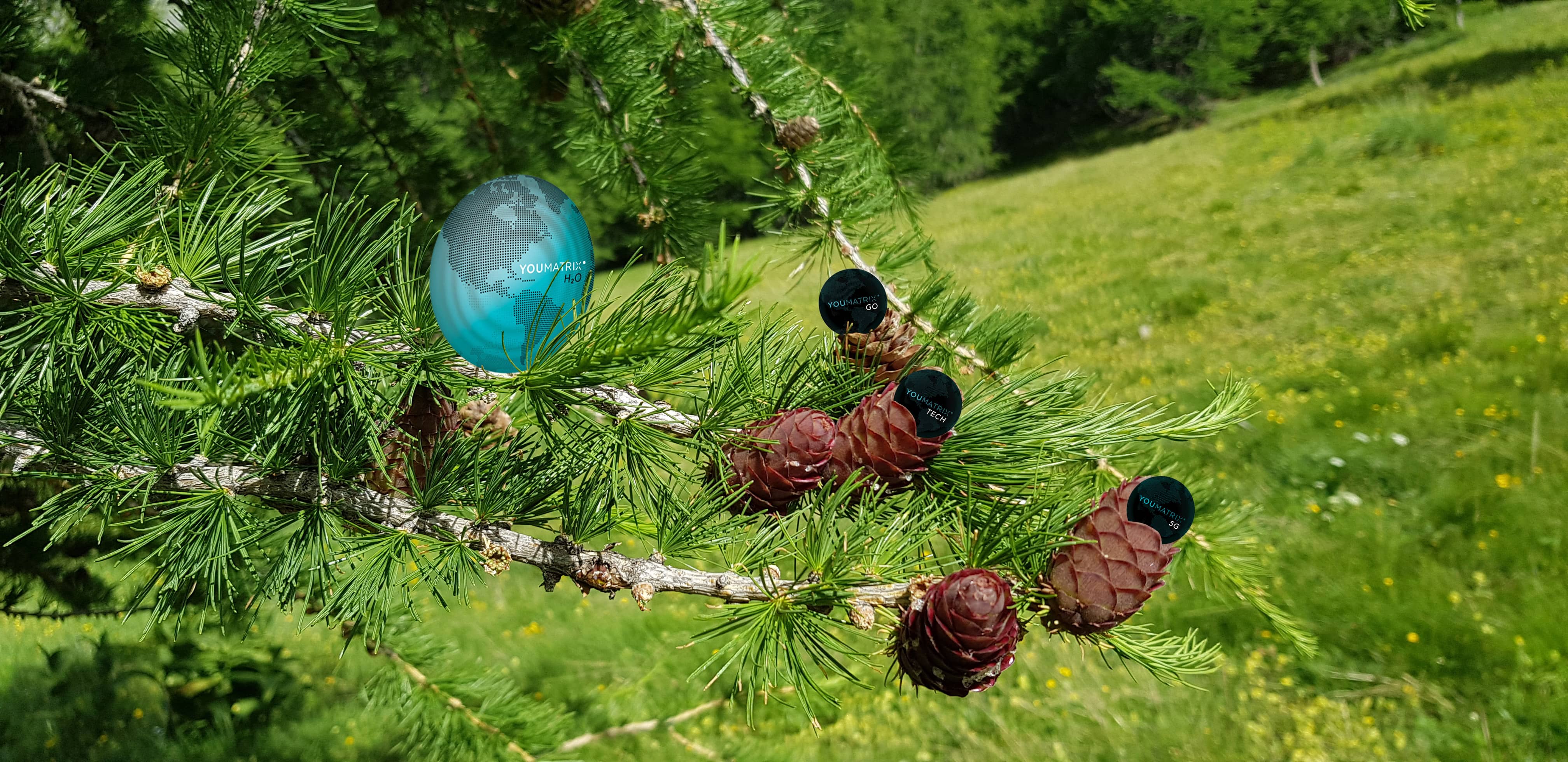 Achetez nos Patches anti ondes électromagnétiques - Biocompatible ...